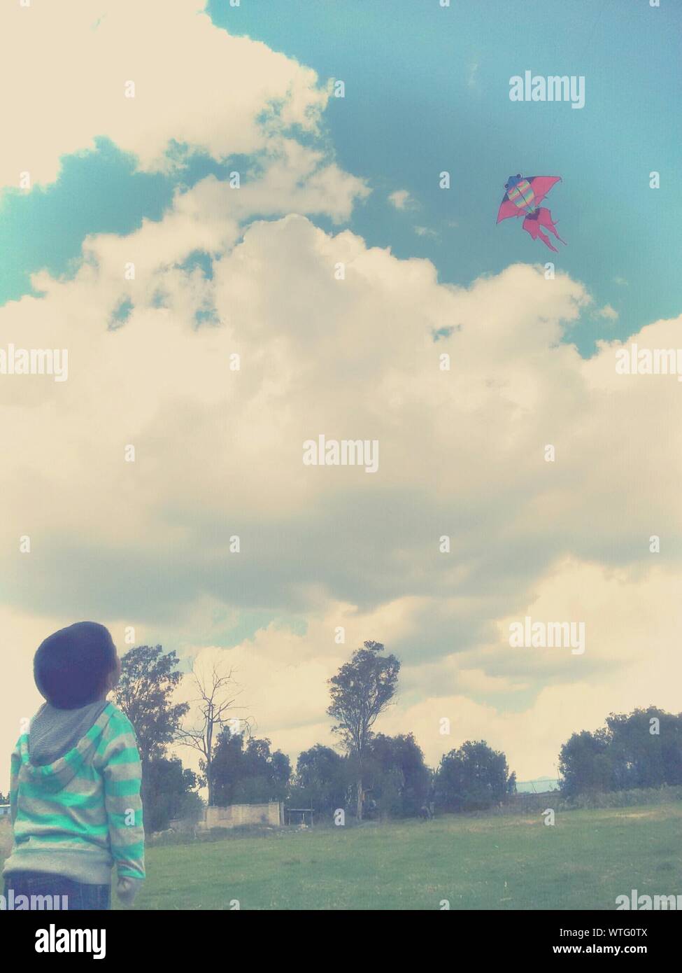 Boys in field flying kite hi-res stock photography and images - Alamy