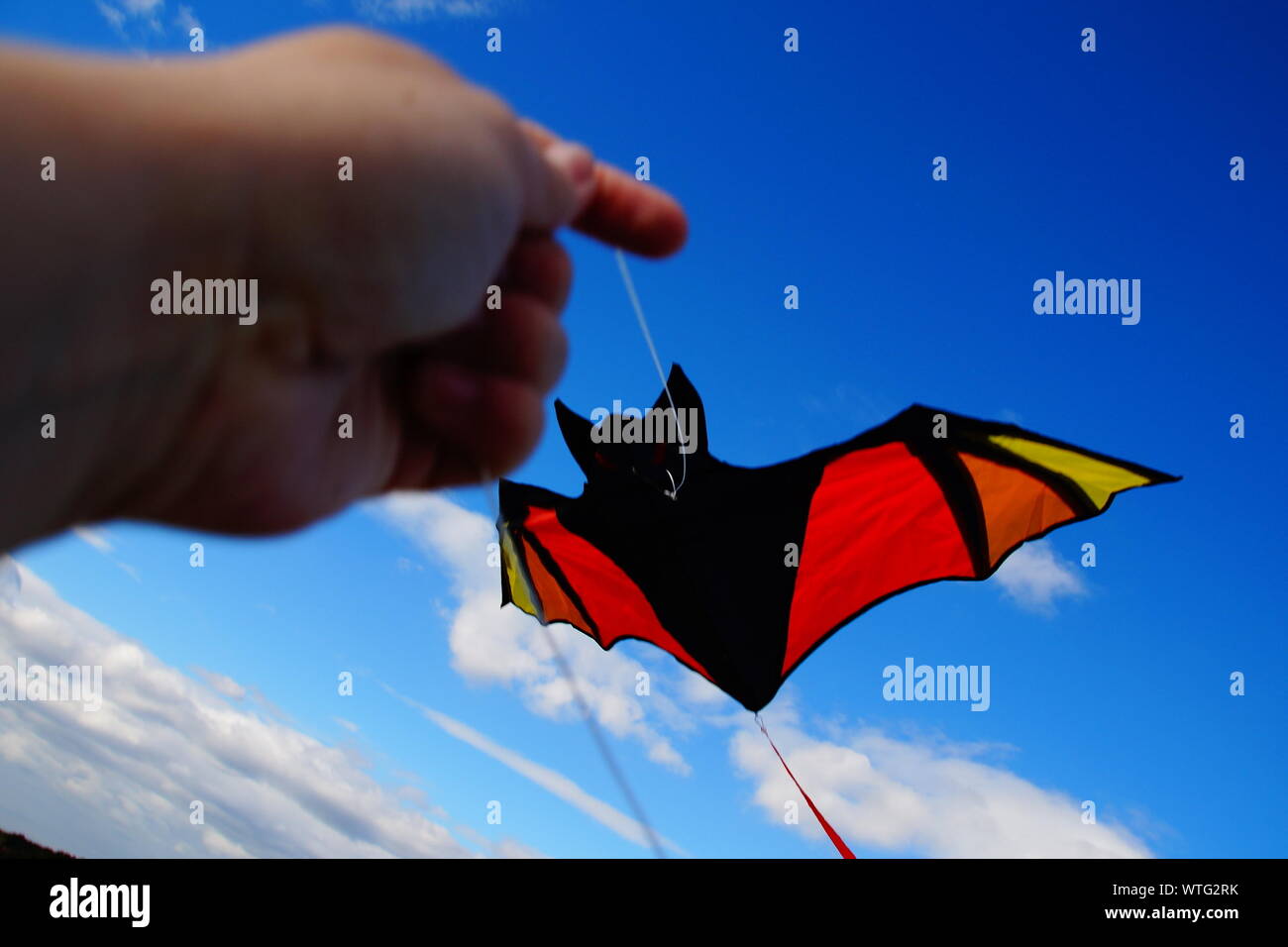 Human bat hi-res stock photography and images - Alamy