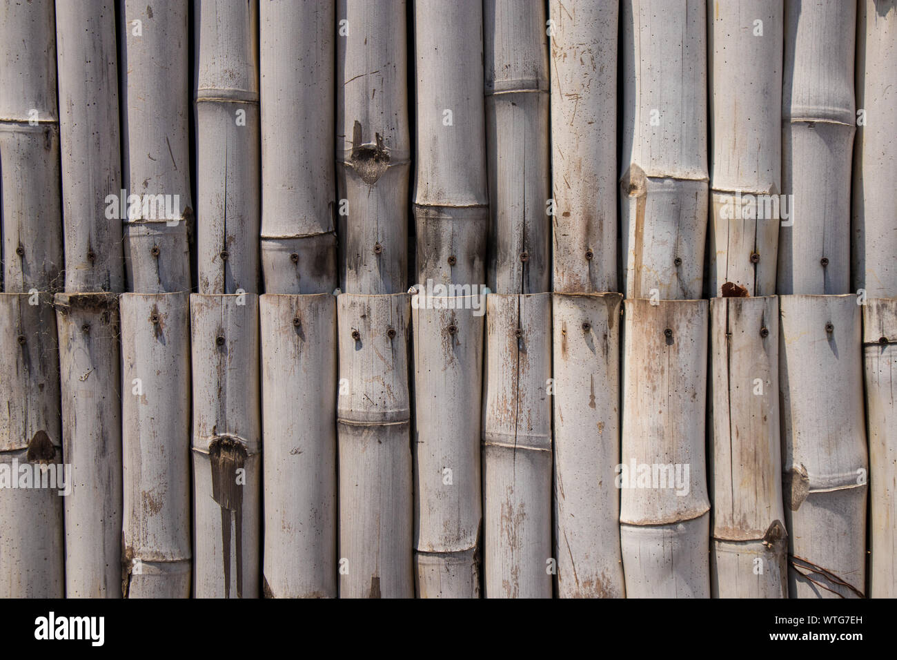 Bamboo Texture Background Pattern Stock Photo - Alamy