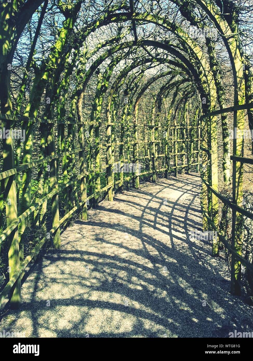 Green arch hi-res stock photography and images - Alamy