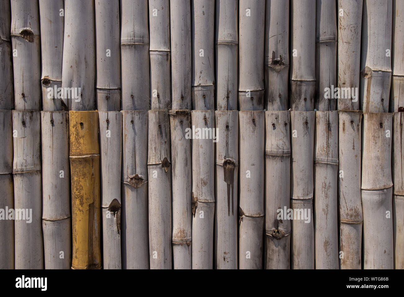 Bamboo Texture Background Pattern Stock Photo - Alamy