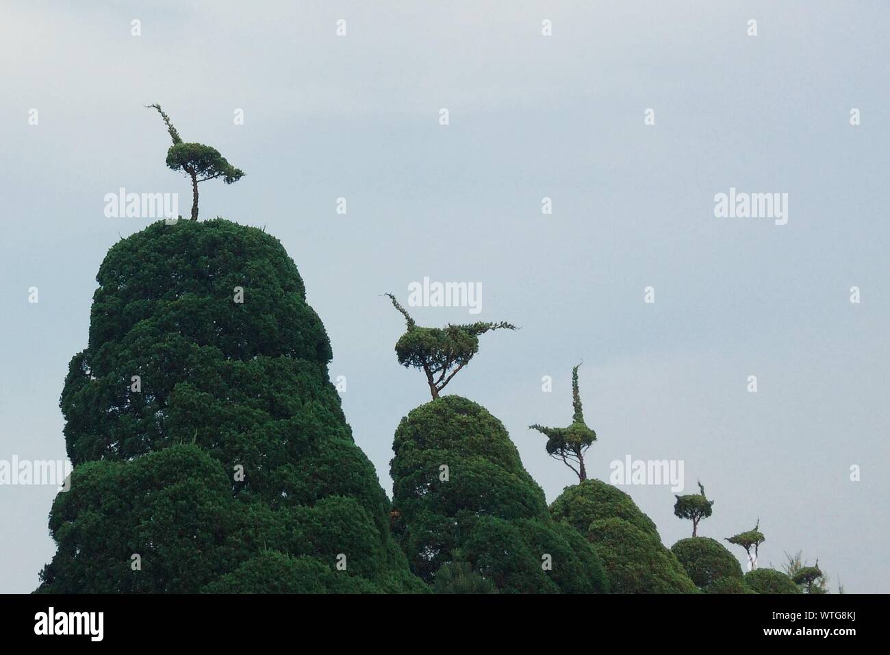 Animal Topiary High Resolution Stock Photography and Images - Alamy