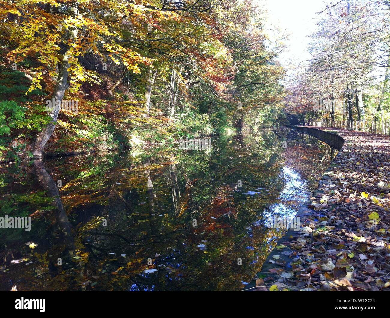 Autumn trees by canal hi-res stock photography and images - Alamy