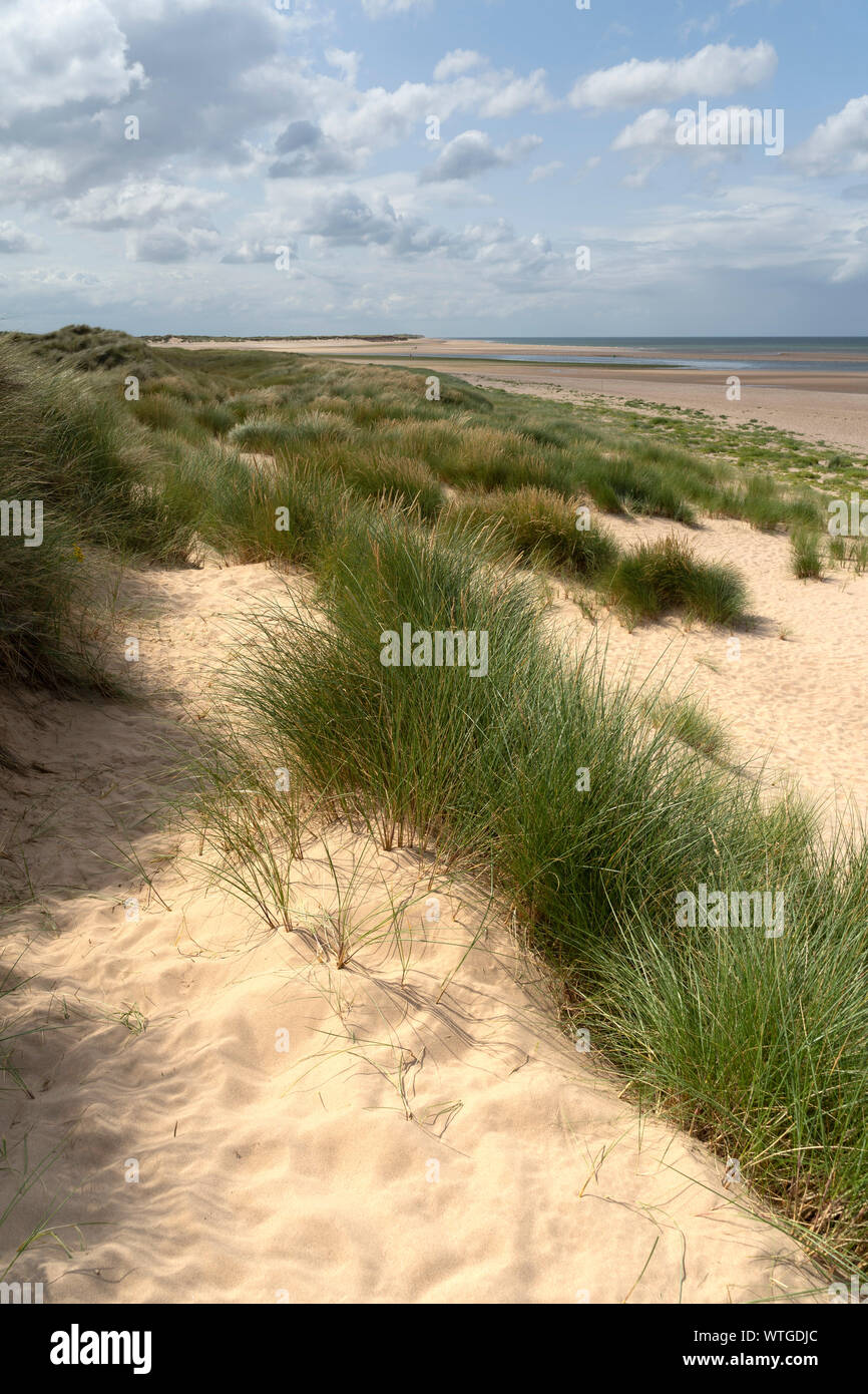 Holkham Bay Sand Dunes / Burham Harbour - Norfolk Coast Path - Norfolk ...