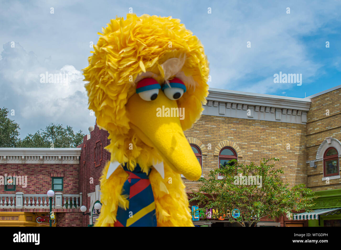 Orlando, Florida. August 28, 2019. Top view of Big Bird in Sesame ...