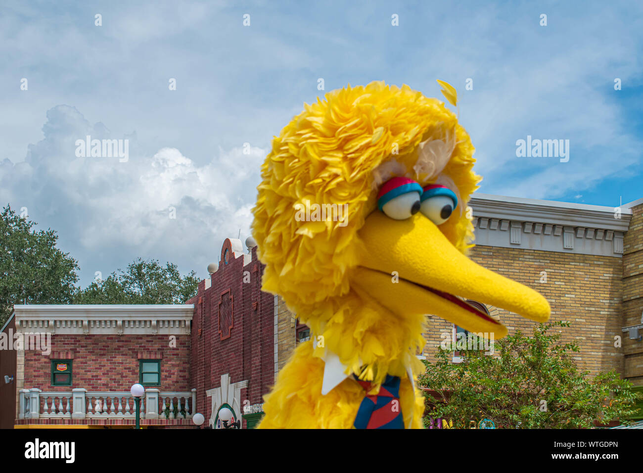Orlando, Florida. August 28, 2019. Top view of Big Bird in Sesame ...