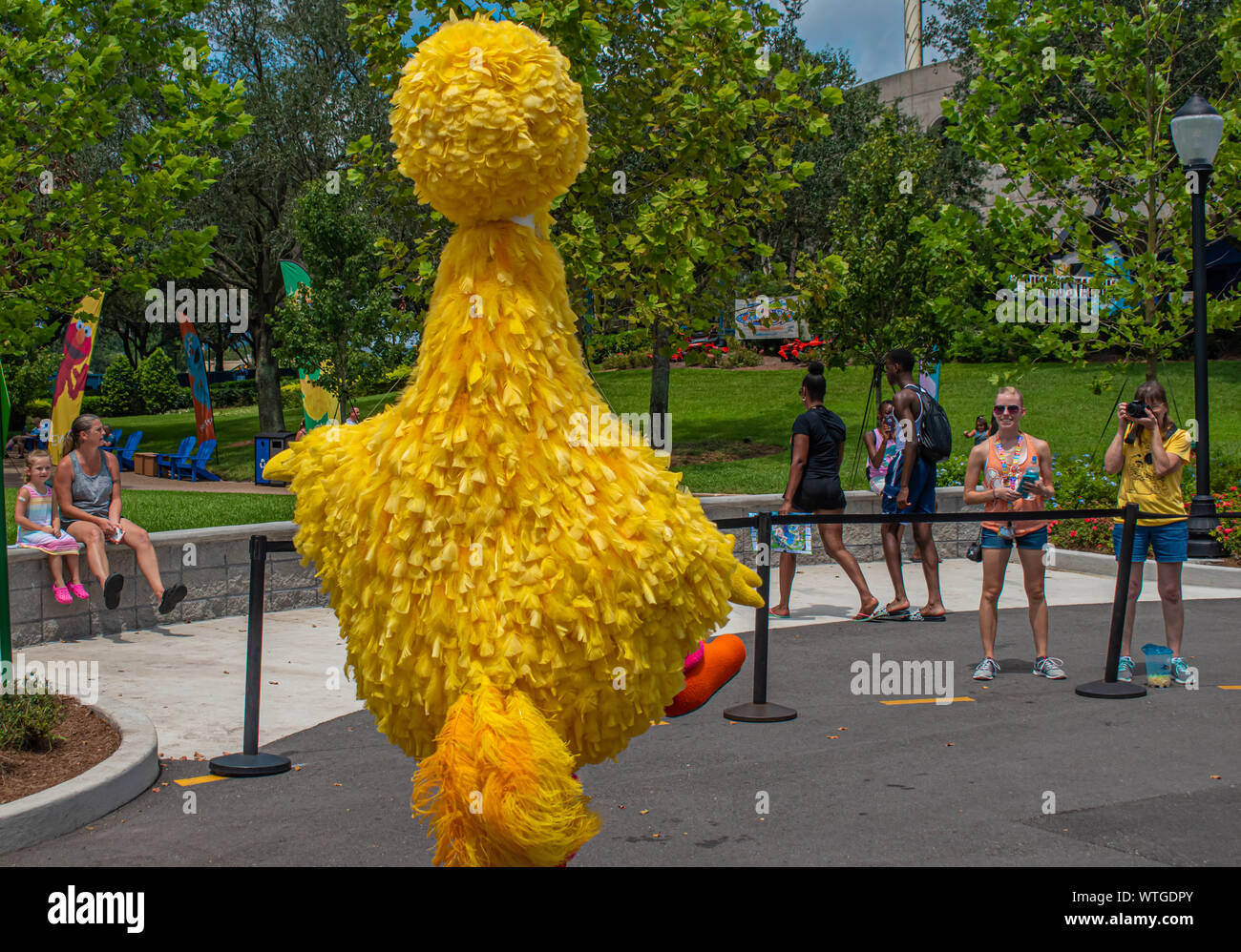 Orlando, Florida. August 28, 2019. Top view of Big Bird in Sesame ...