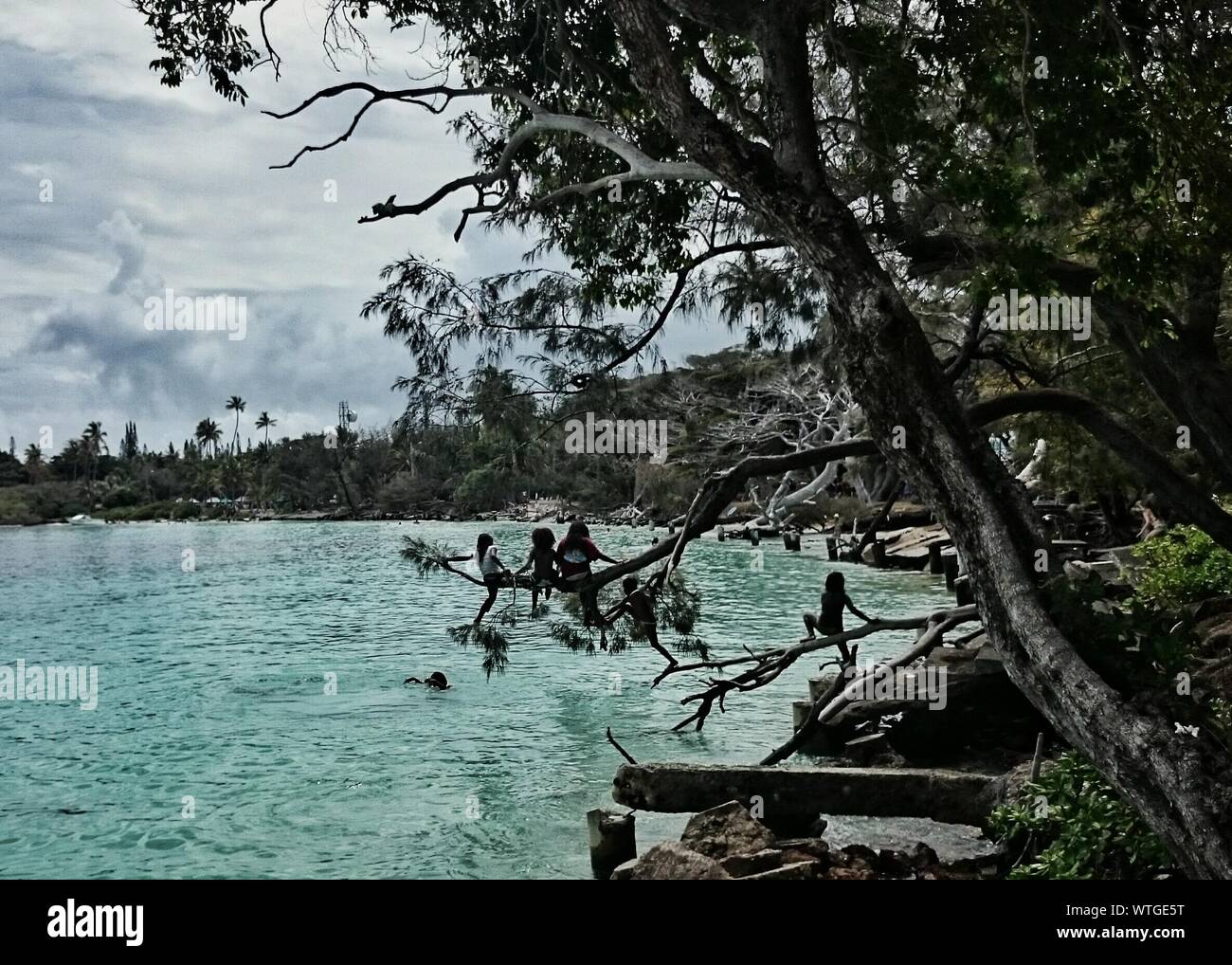 Children sitting on the branch hi-res stock photography and images - Alamy