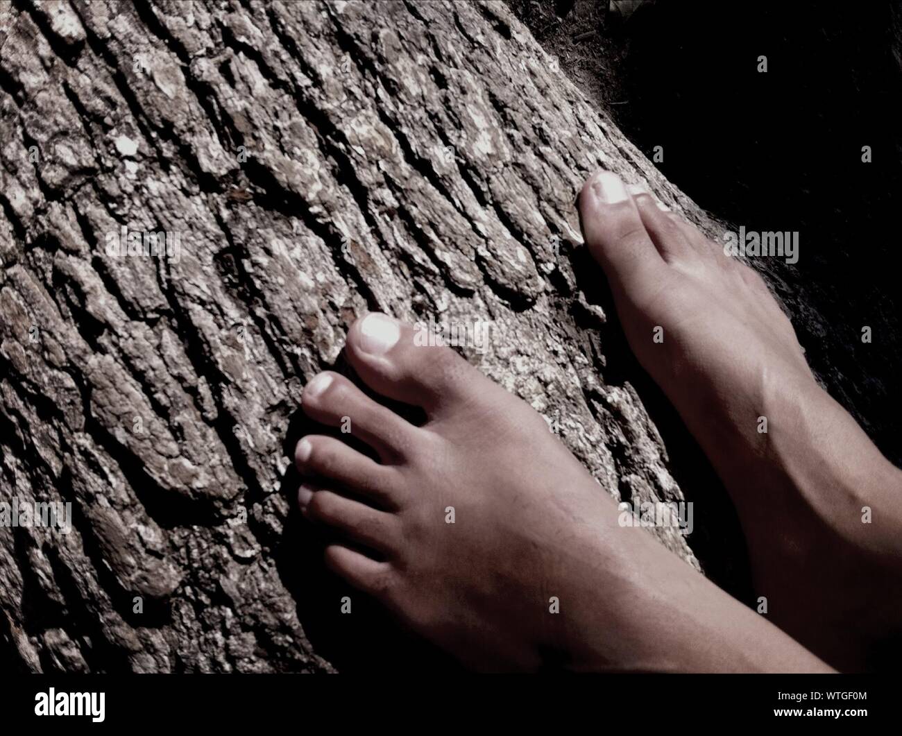 Barefoot barefeet hi-res stock photography and images - Alamy