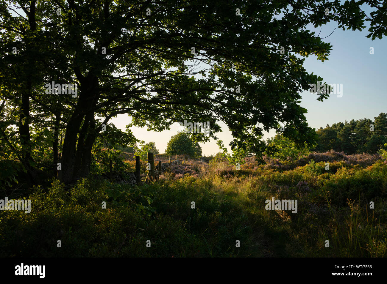 Penistone hill hi-res stock photography and images - Alamy