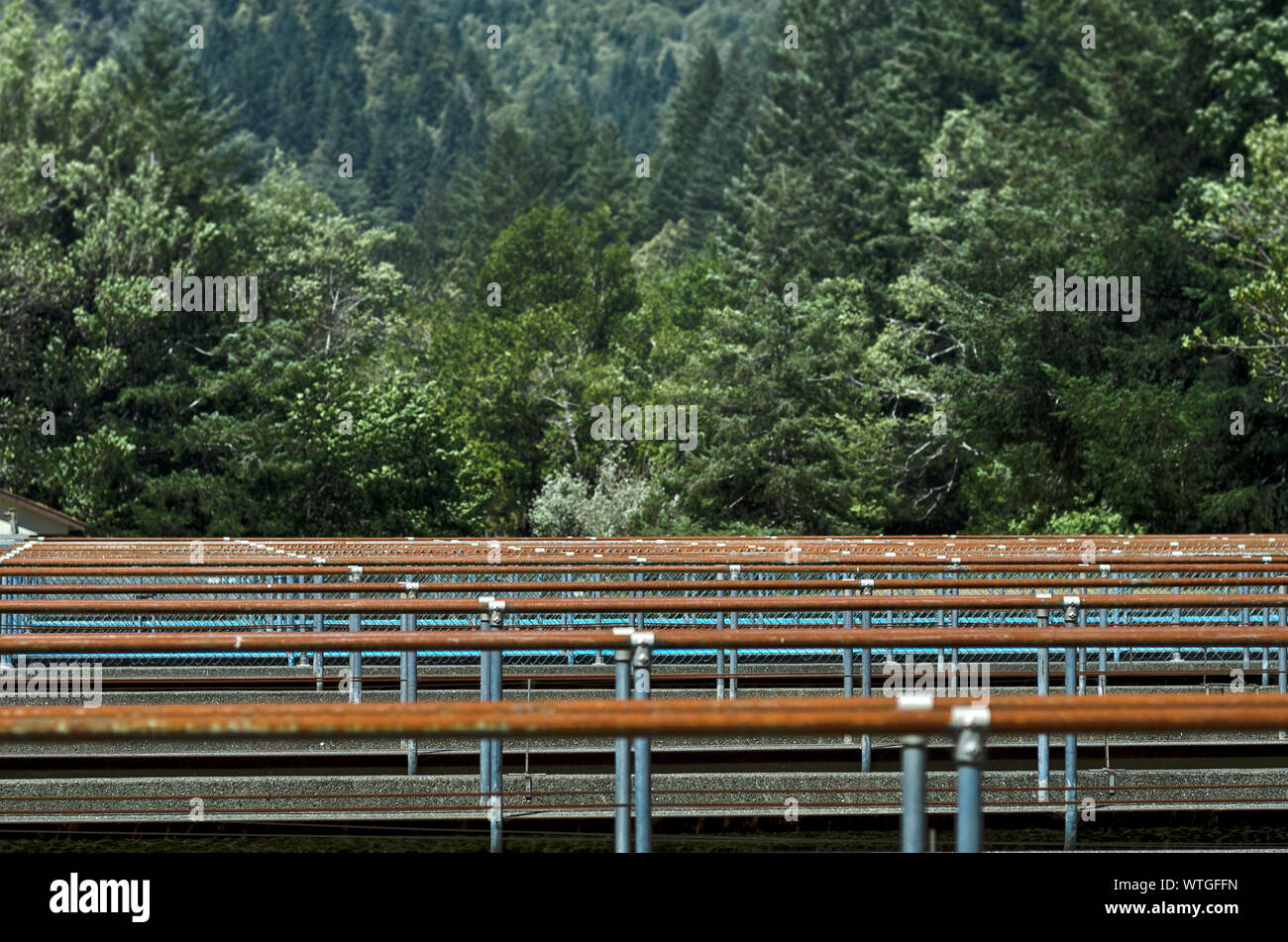 Rails on a fish hatchery form parallel horizontal lines, on the Elk ...