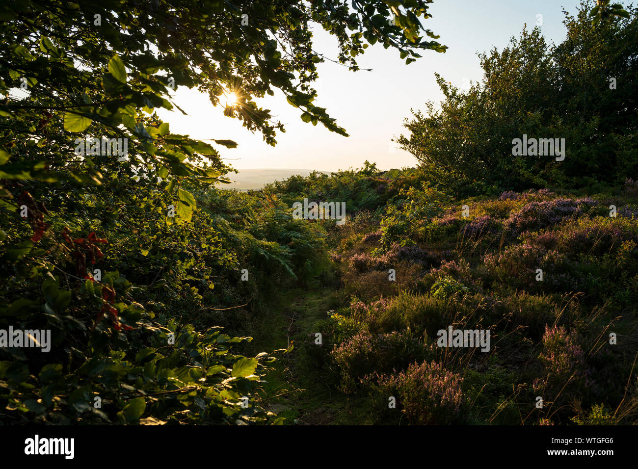 Hartcliff hill hi-res stock photography and images - Alamy