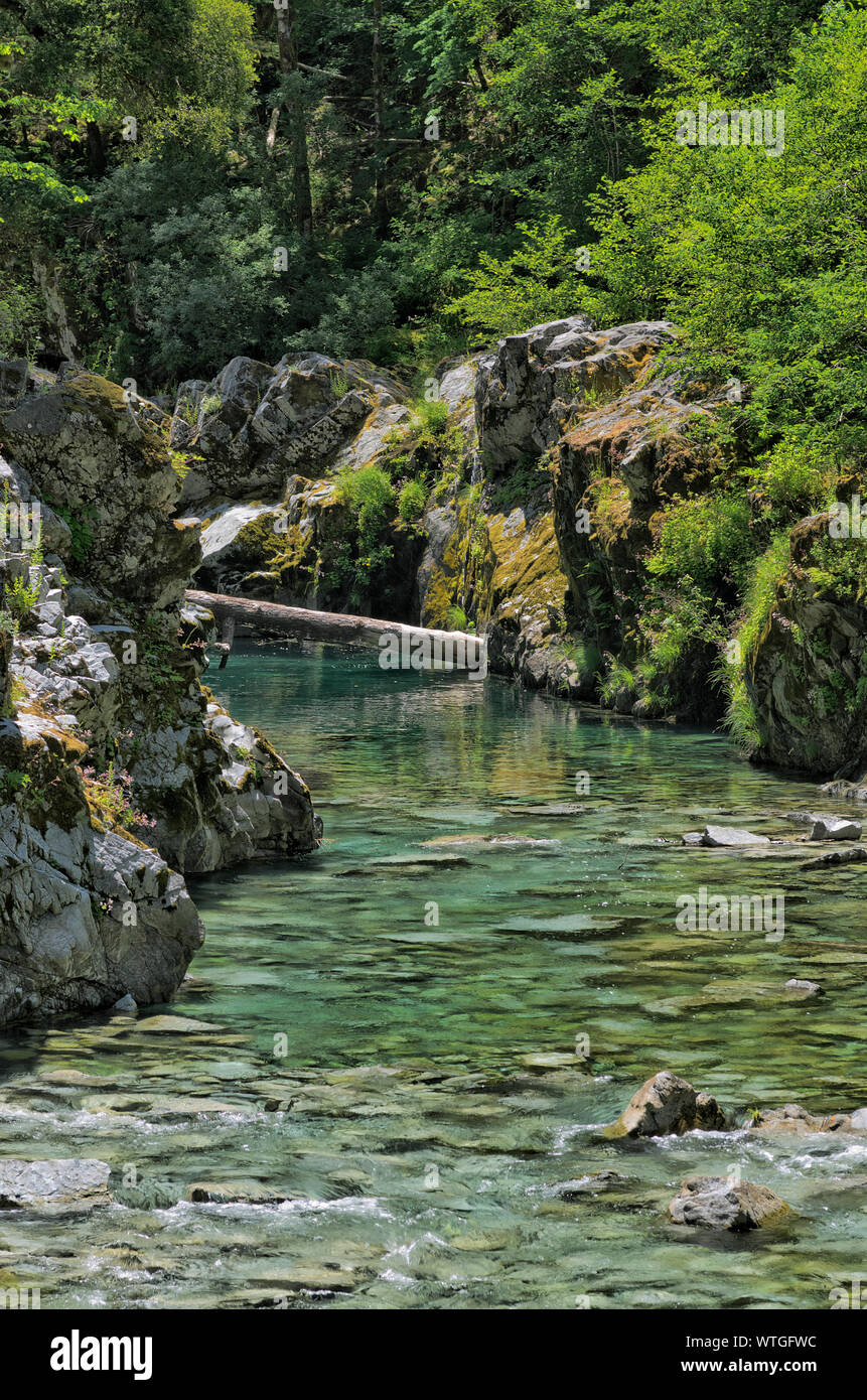 The Elk River flows between cliffs, with water so clear the rocks on ...
