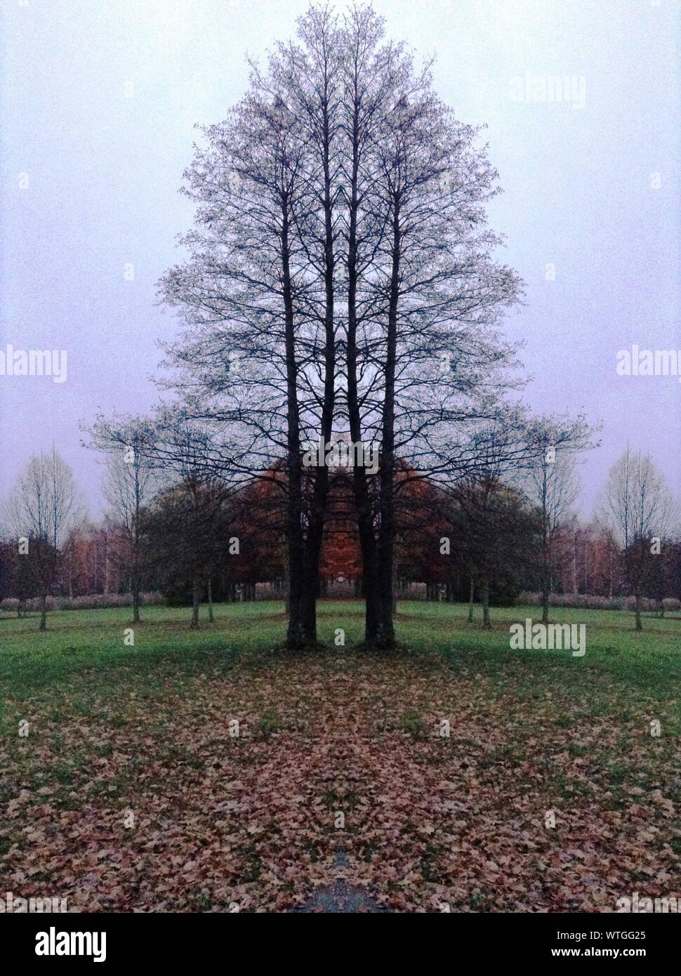 Non symmetrical hi-res stock photography and images - Alamy