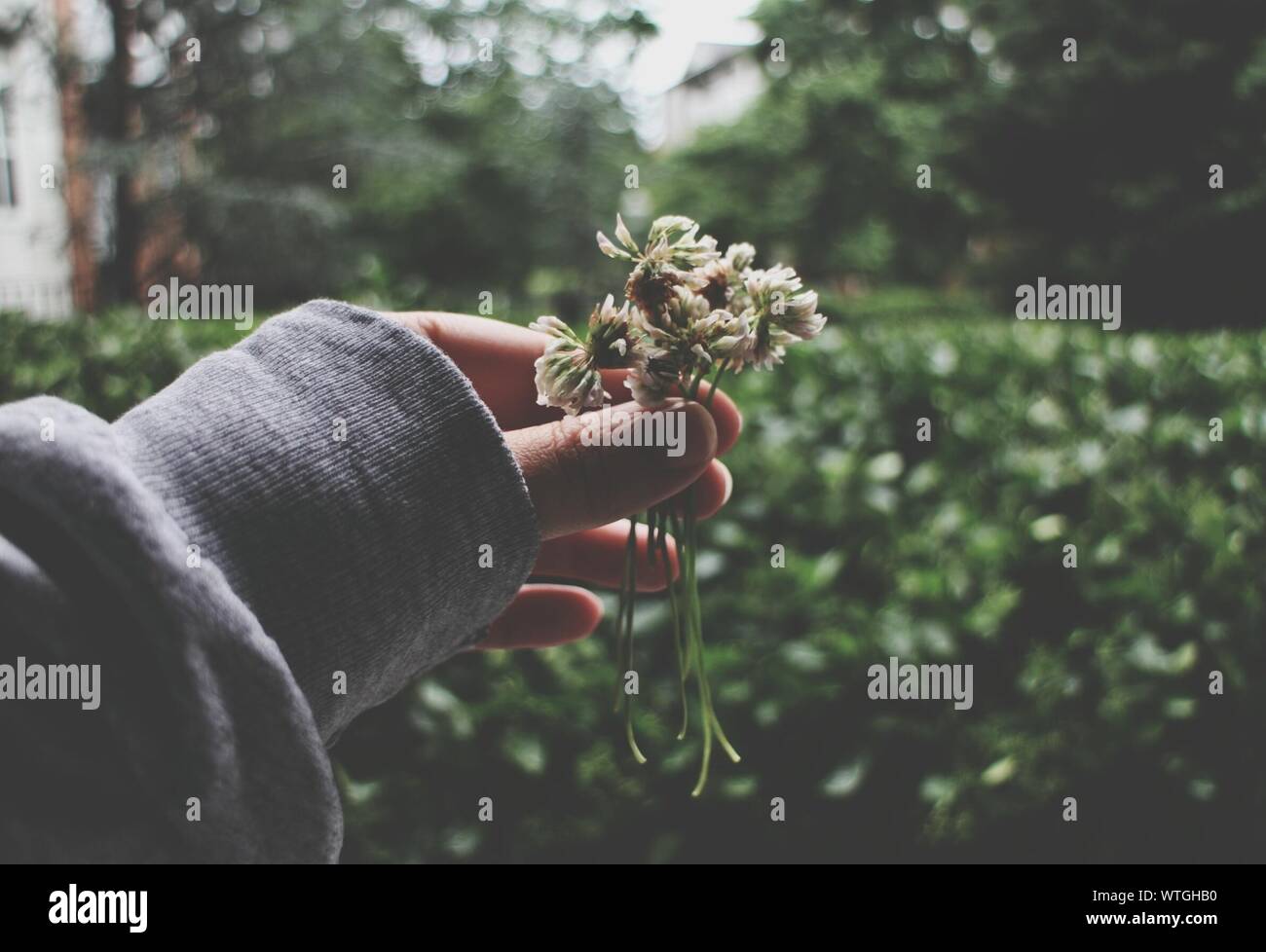 Human flower hi-res stock photography and images - Alamy