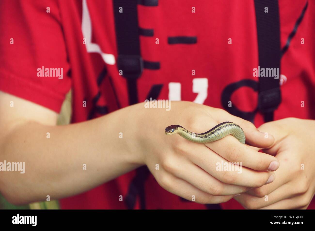 Boy Snake High Resolution Stock Photography and Images - Alamy