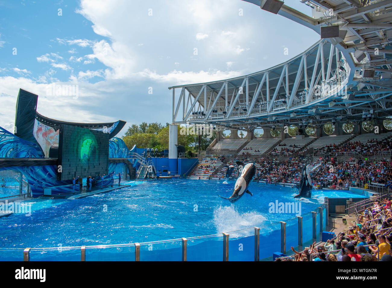 Orlando, Florida. August 28, 2019. Whales jumping in One Ocean show at ...