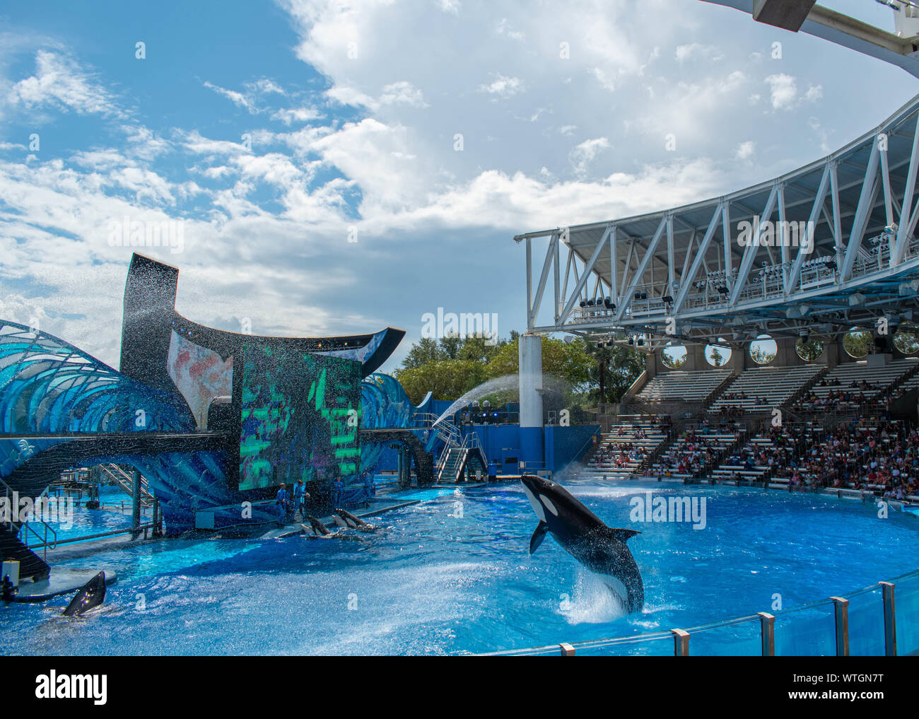 Orlando, Florida. August 28, 2019. Whales jumping in One Ocean show at ...