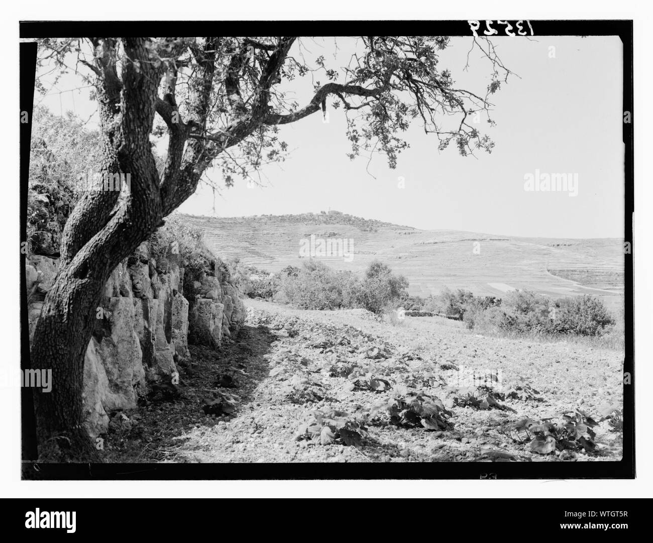 From june 2 Black and White Stock Photos & Images - Alamy