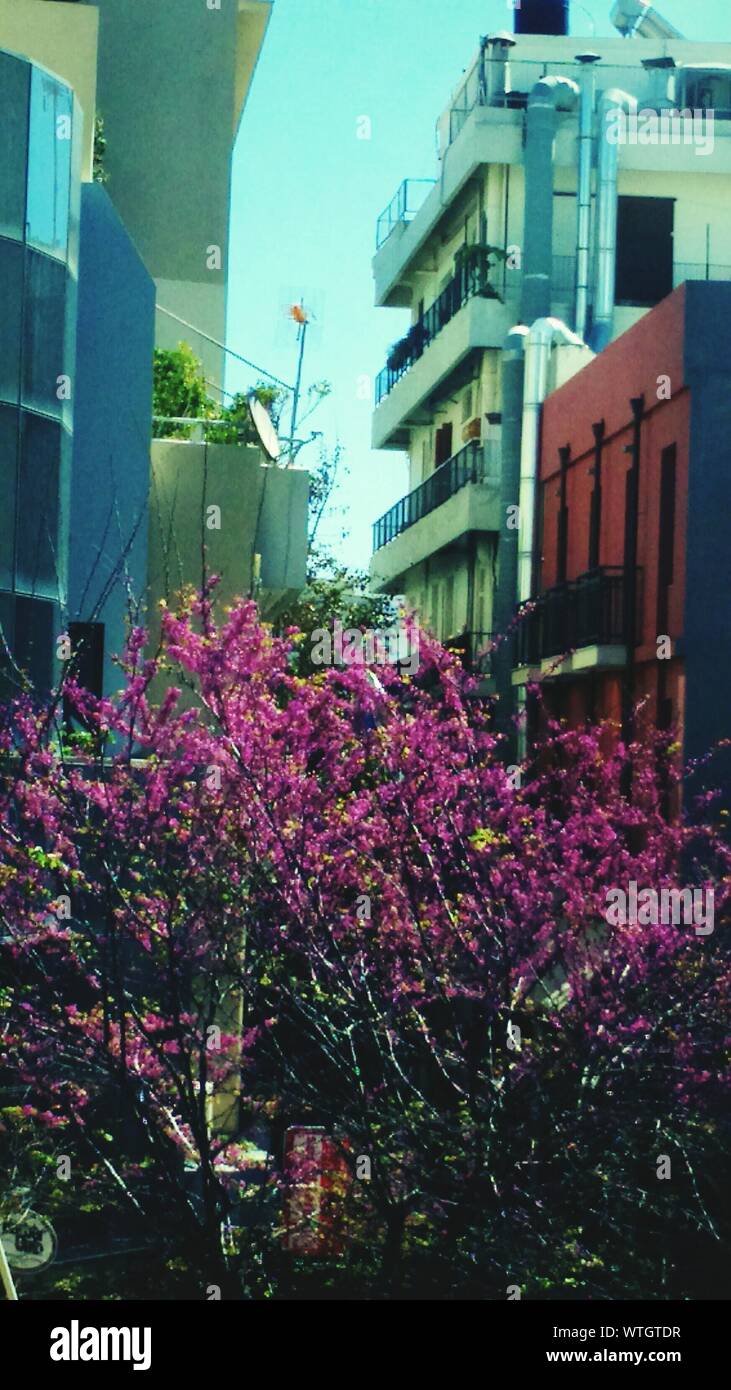 Part facades hi-res stock photography and images - Alamy