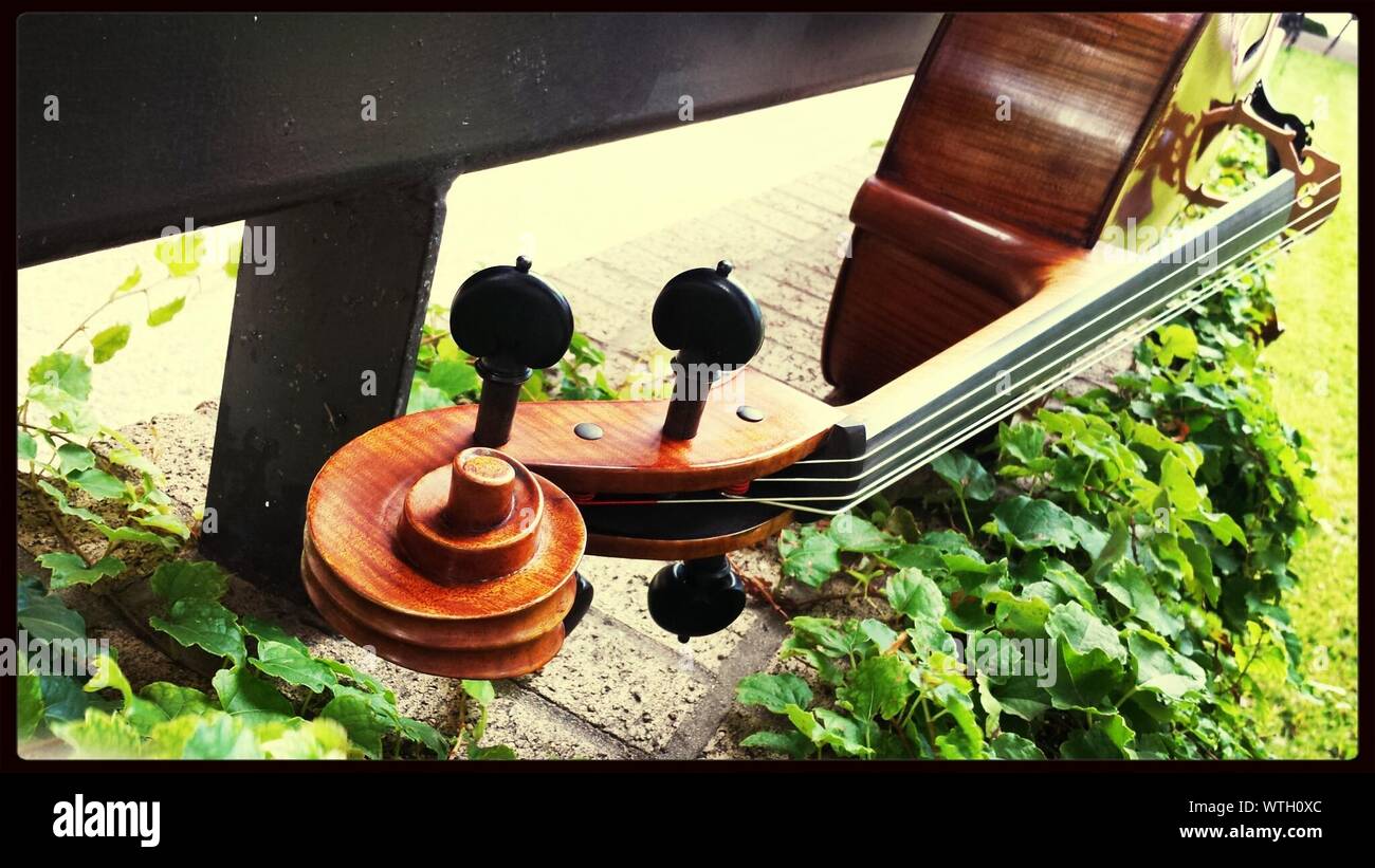 End instrument hi-res stock photography and images - Alamy