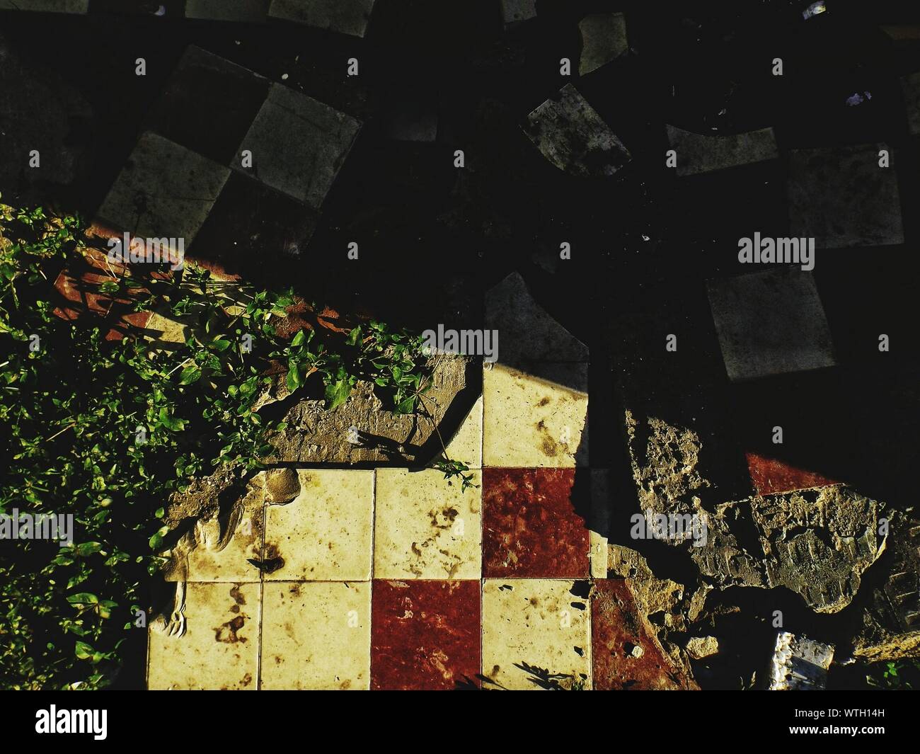 Outdoor floor hi-res stock photography and images - Alamy