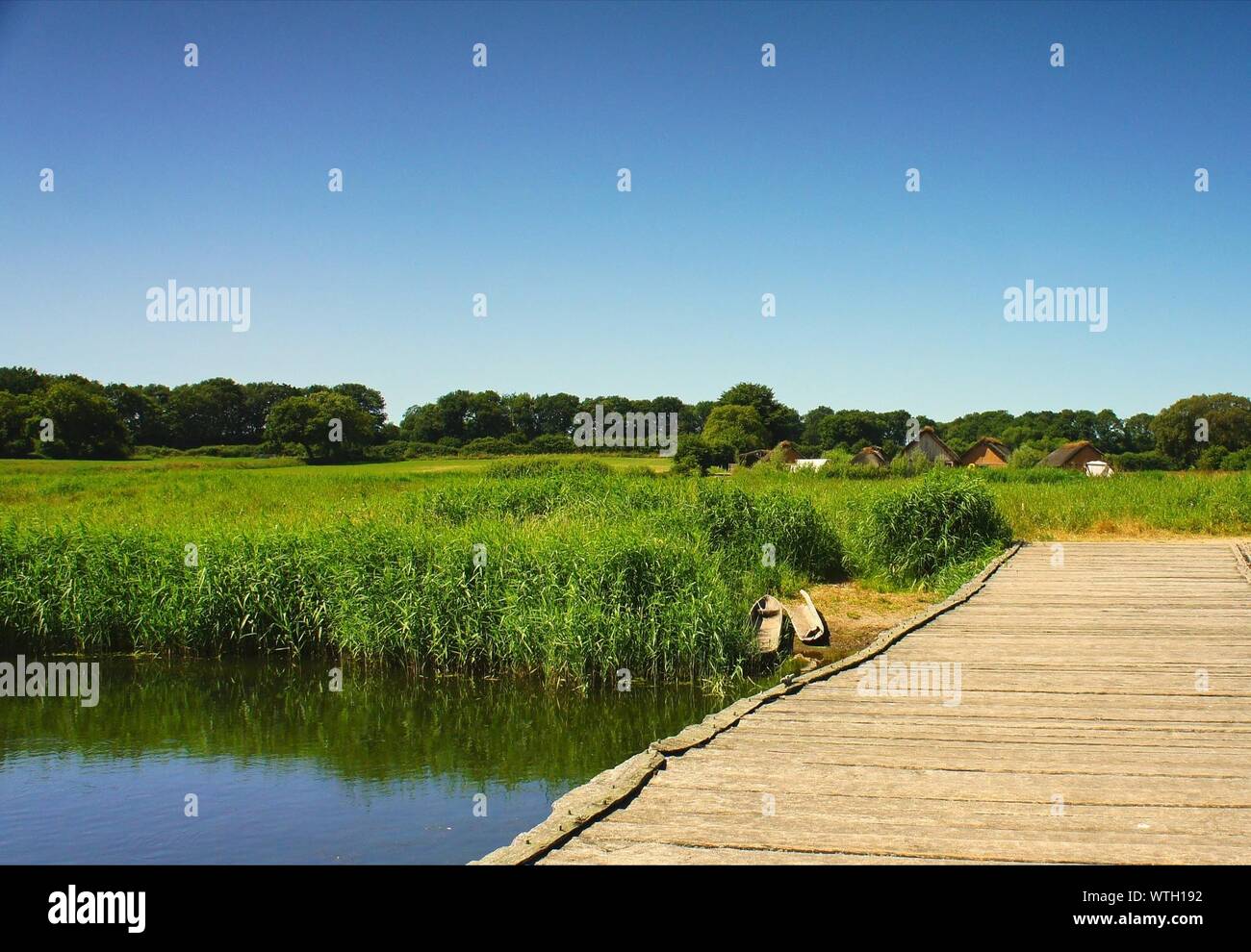 Rural vegetation hi-res stock photography and images - Alamy