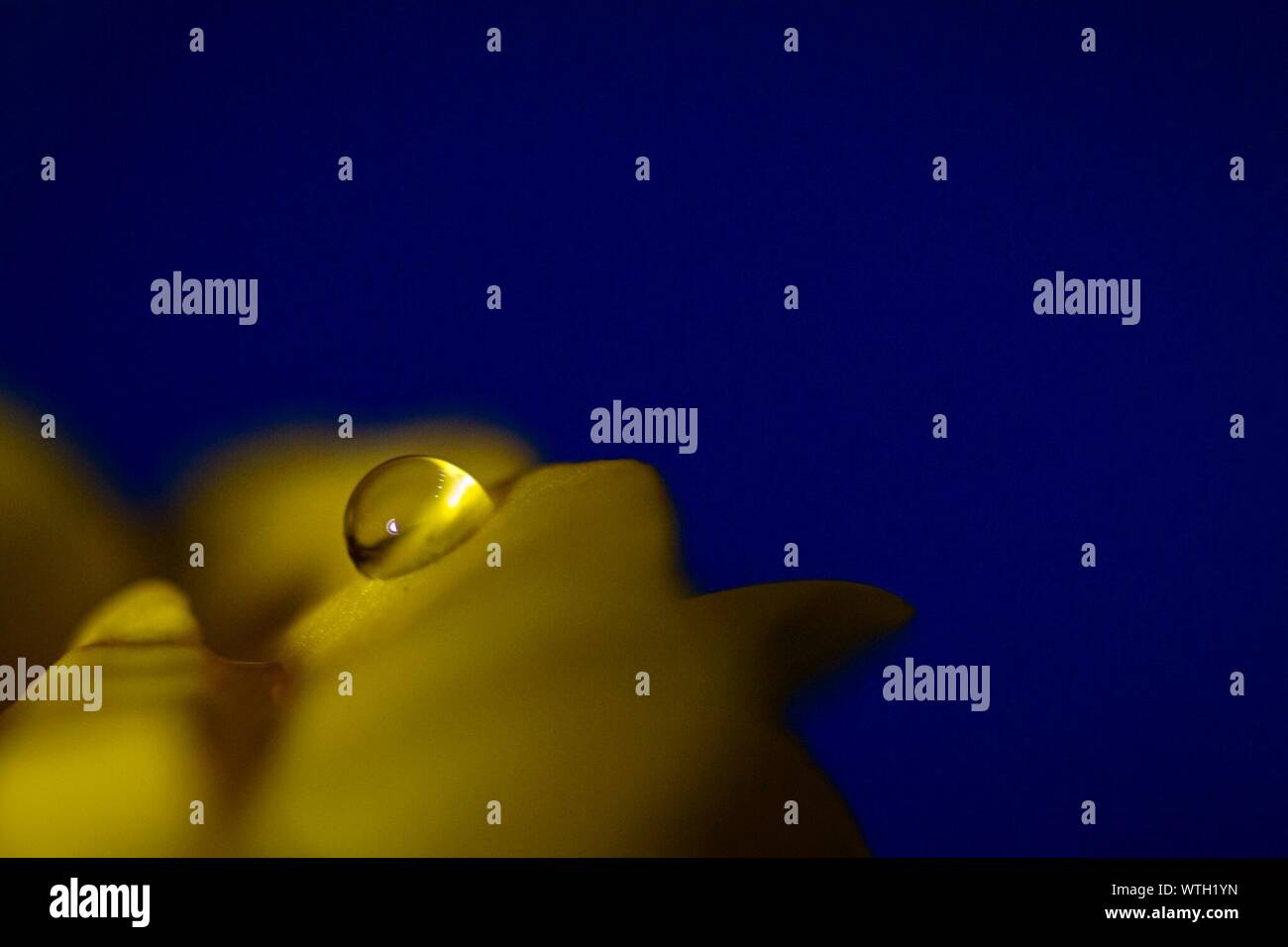 Raindrop close up hi-res stock photography and images - Alamy