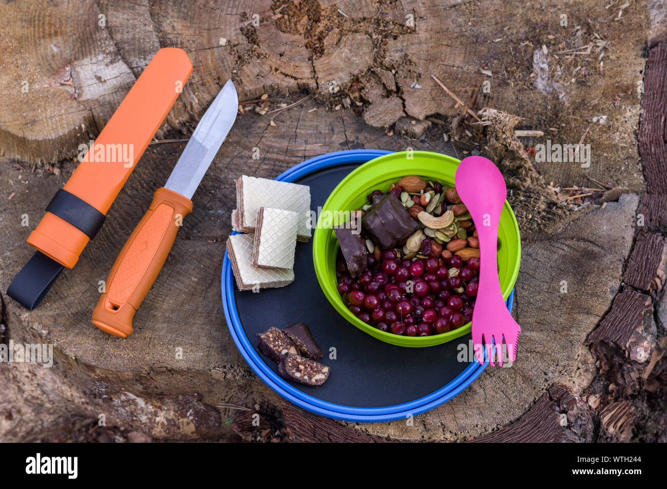 Bright tourist dishes. Bright travel appliances. Colorful dishes Stock ...