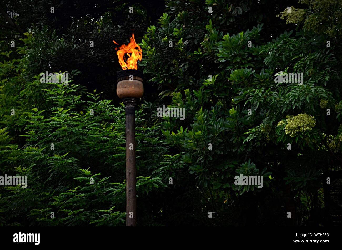 Flaming Torch High Resolution Stock Photography and Images - Alamy