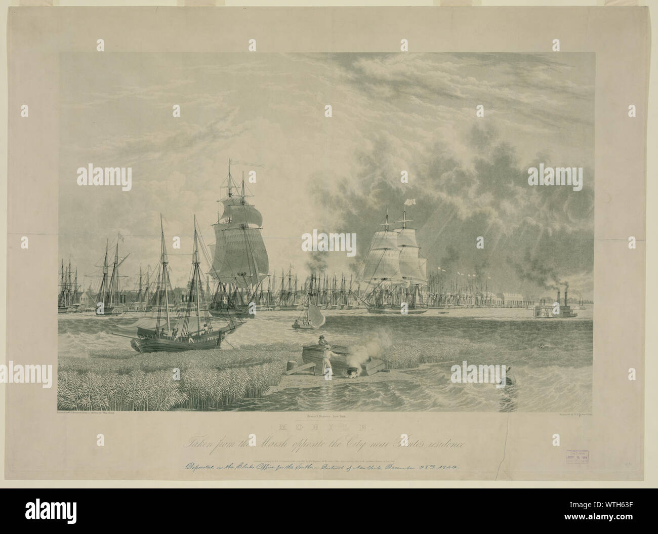 Mobile. Taken from the marsh opposite the city near Pinto's residence ...