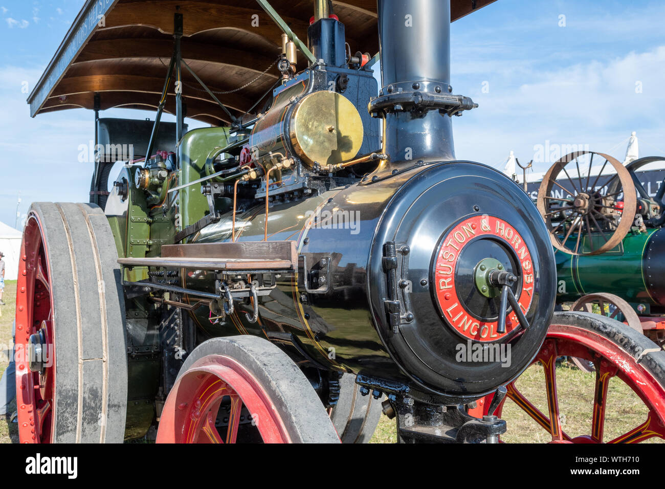 Blandford Forum.Dorset.United Kingdom.August 24th 2019.Close up of a ...