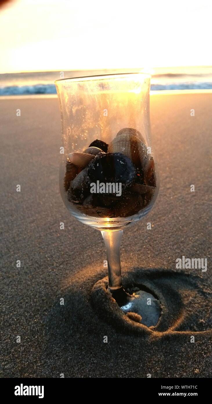 Glass with shells hi-res stock photography and images - Alamy