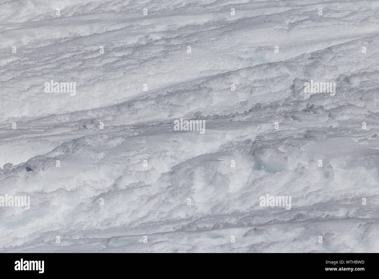 Fluffy white snow with ski marks closeup. Snow lit by sunlight Stock ...