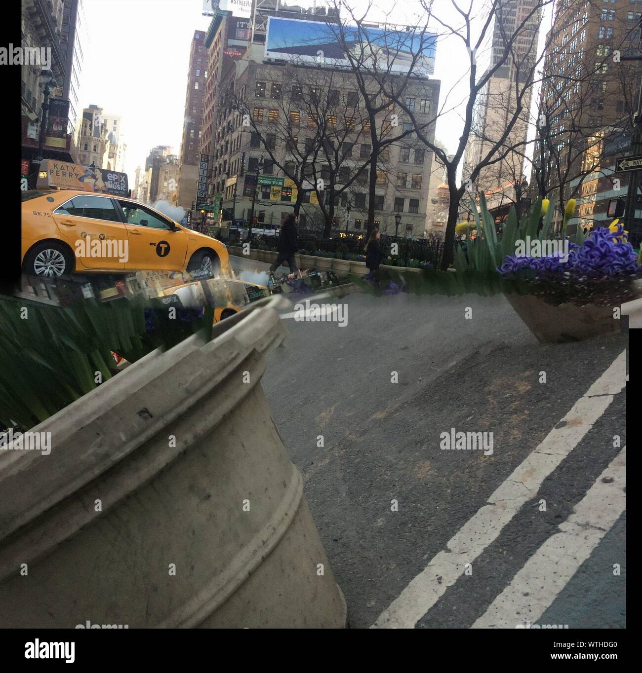 Flower pot collage hi-res stock photography and images - Alamy