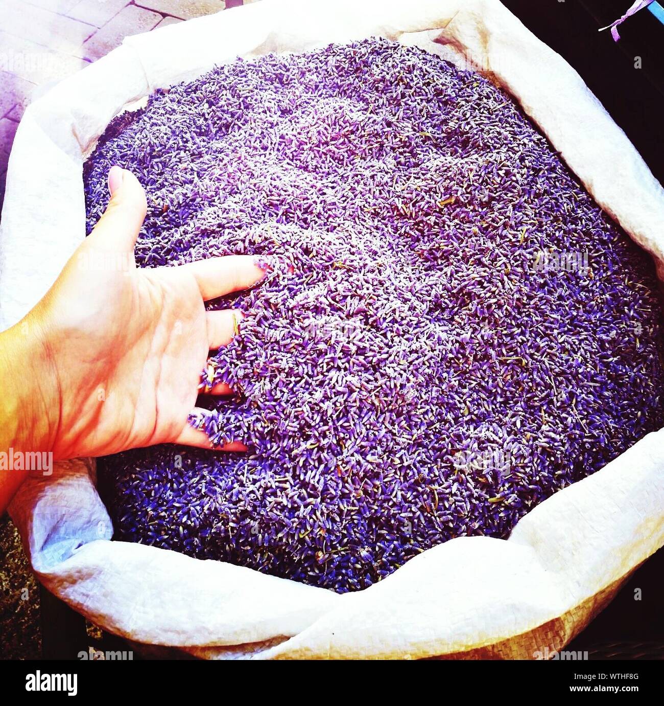 Hand sack hi-res stock photography and images - Alamy