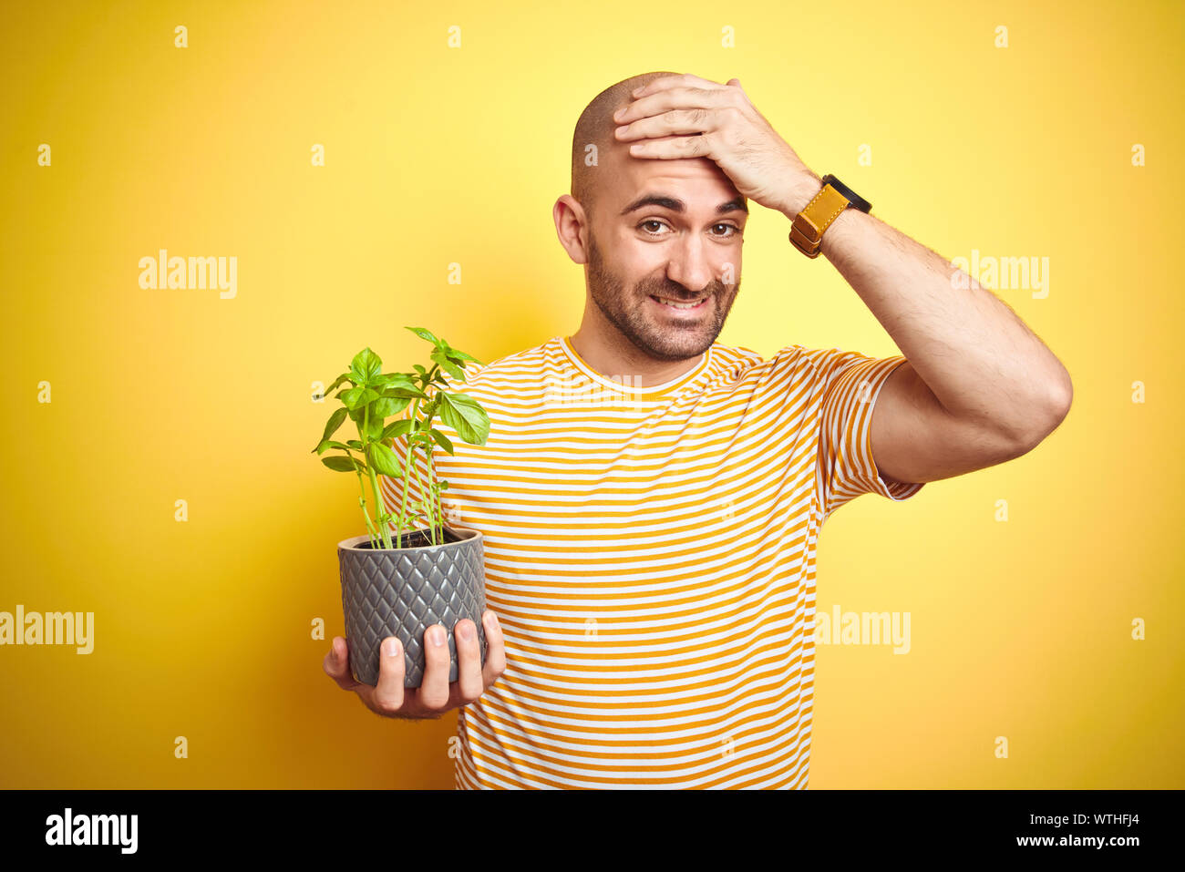 Young man holding basil plat plot over isolated yellow background ...