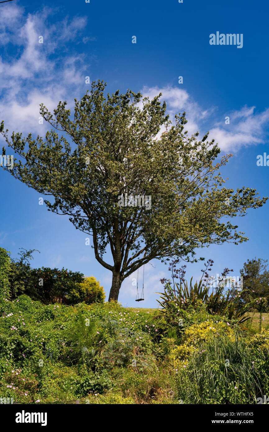 Tree with rope swing hi-res stock photography and images - Alamy
