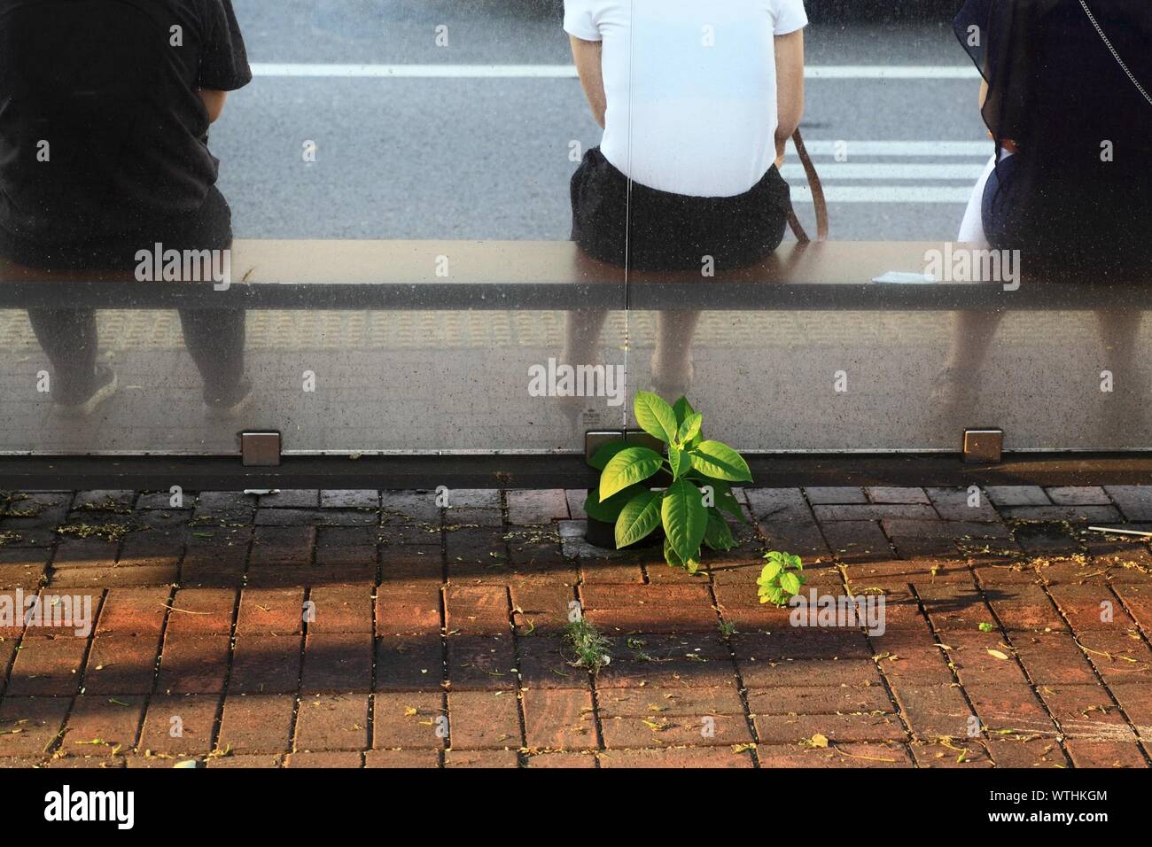 Sitting bus stop hi-res stock photography and images - Alamy