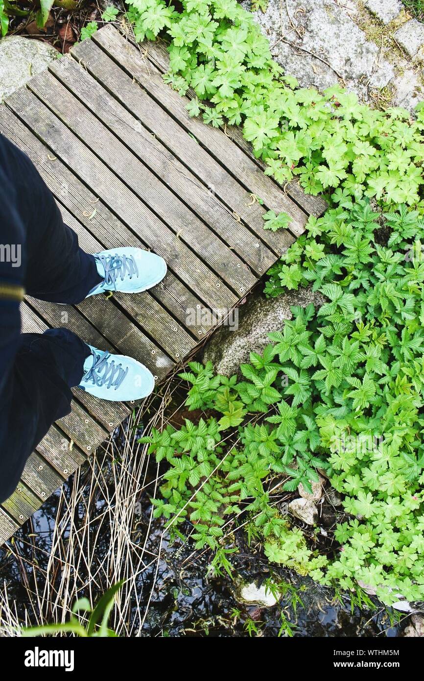 Growing feet hi-res stock photography and images - Alamy