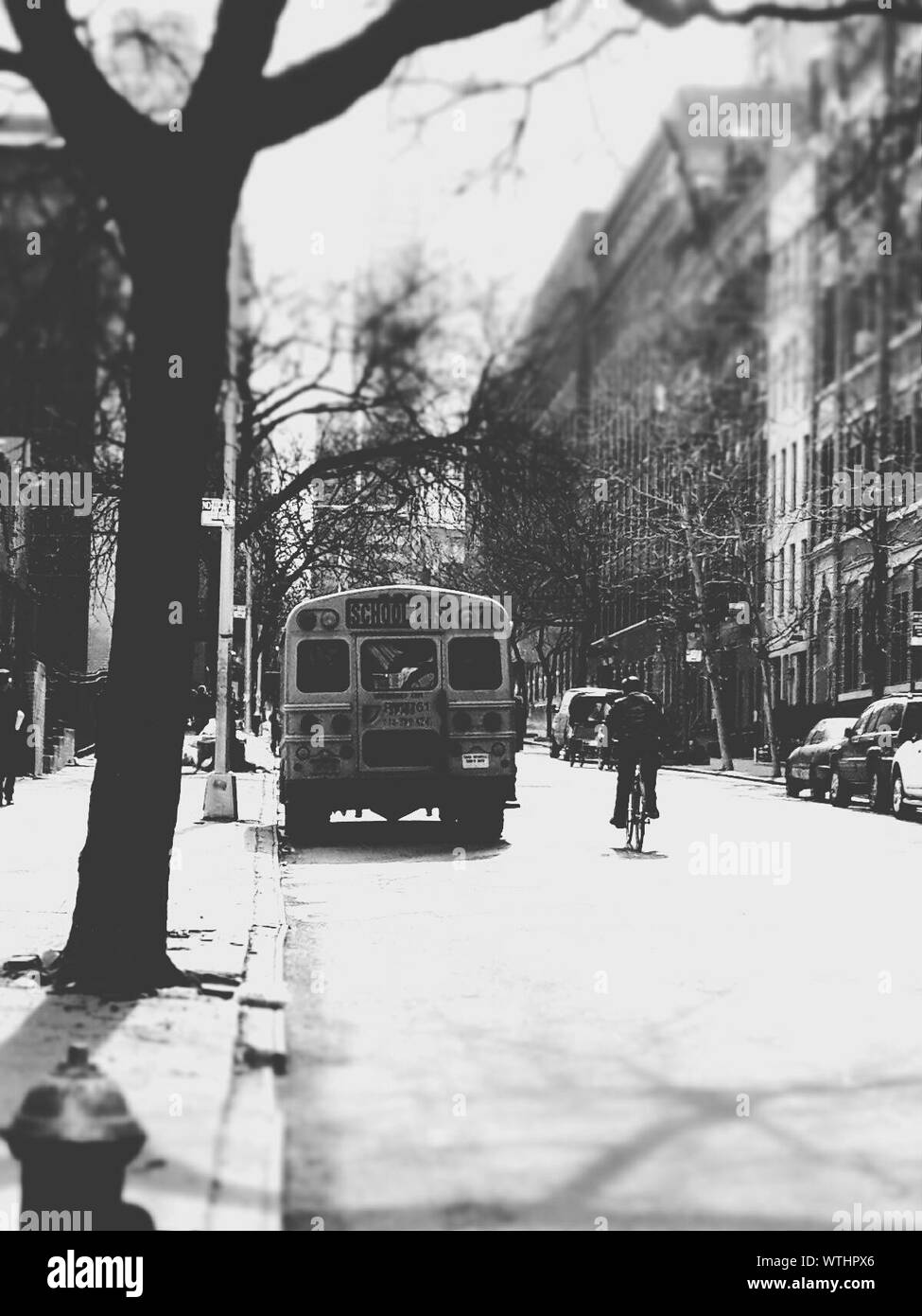 School bus street hi-res stock photography and images - Alamy