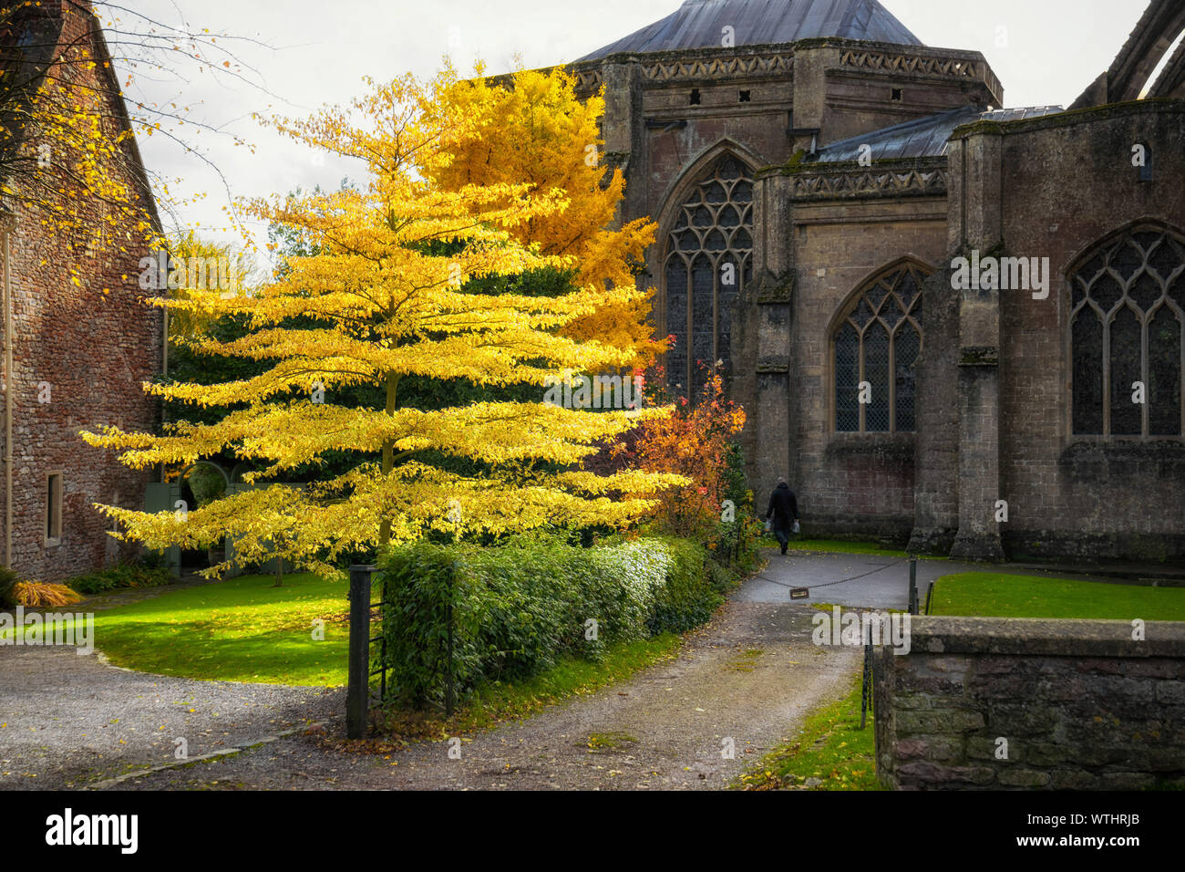 Autumn at wells autumn at wells hi-res stock photography and images - Alamy