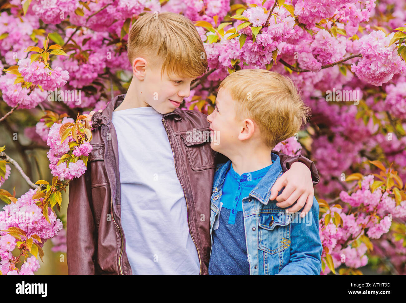 Children enjoy warm spring. Boys posing near sakura. Kids spring pink ...