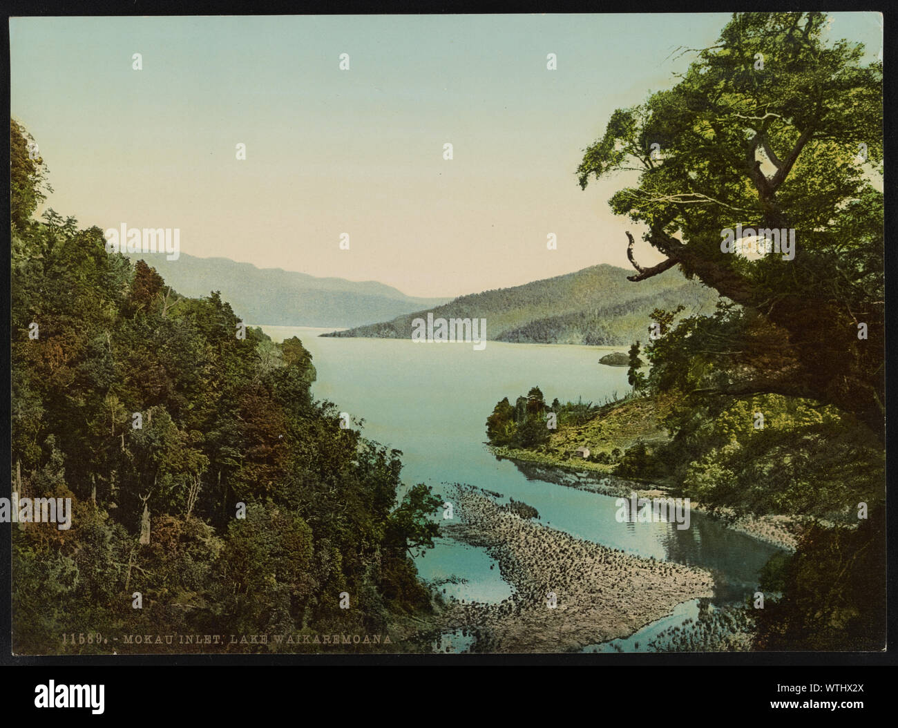 Mokau hi-res stock photography and images - Alamy