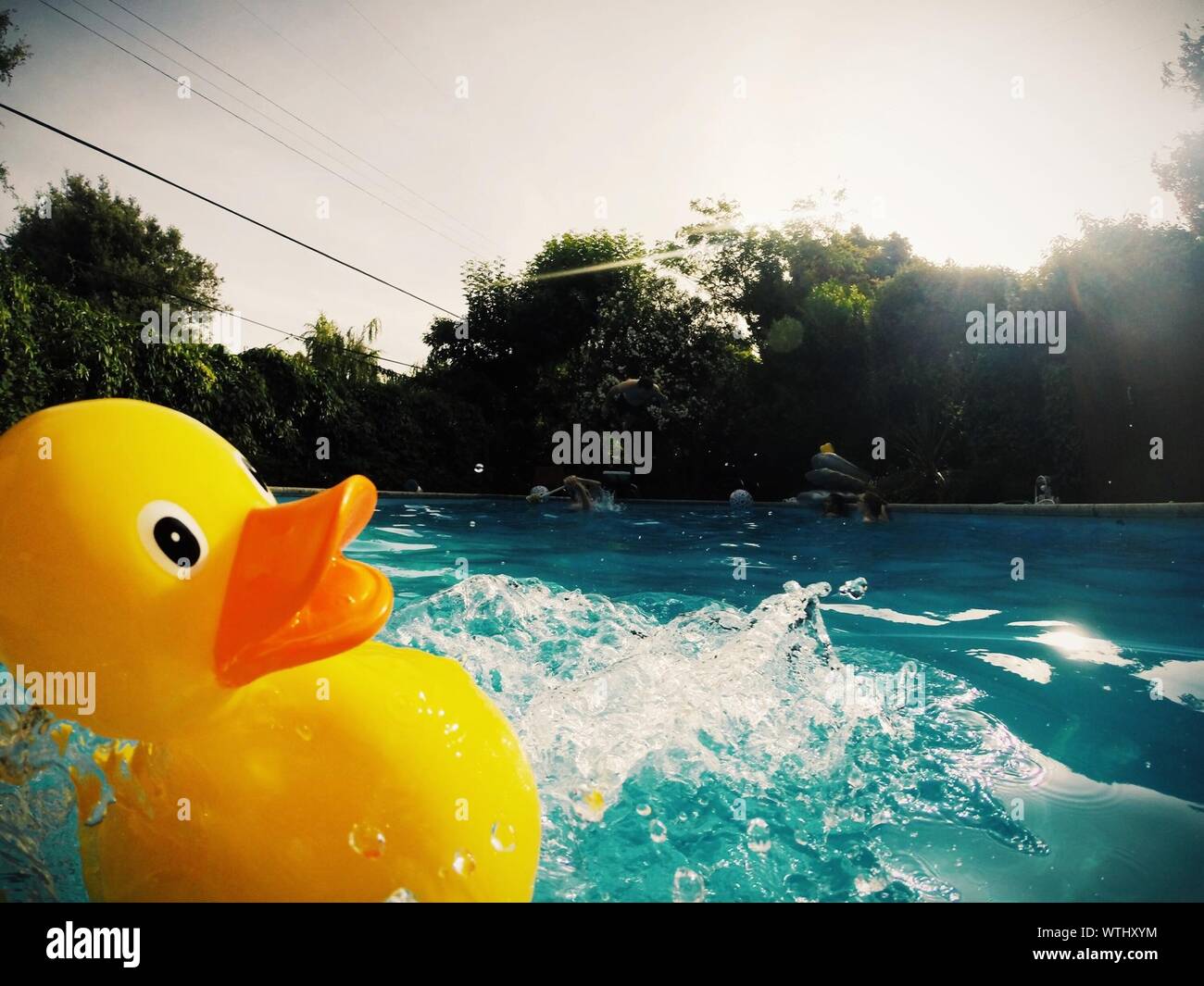 Rubber animal pool hi-res stock photography and images - Alamy