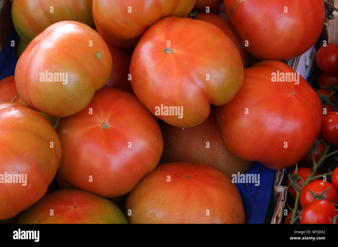 big red tomatoes for sale at local market Stock Photo - Alamy