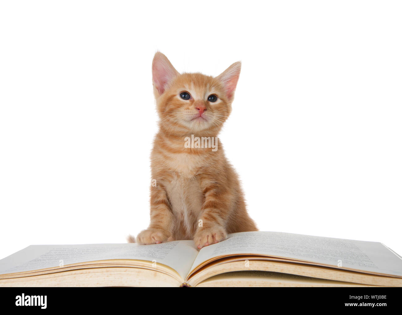 Portrait pretty little school hi-res stock photography and images - Alamy