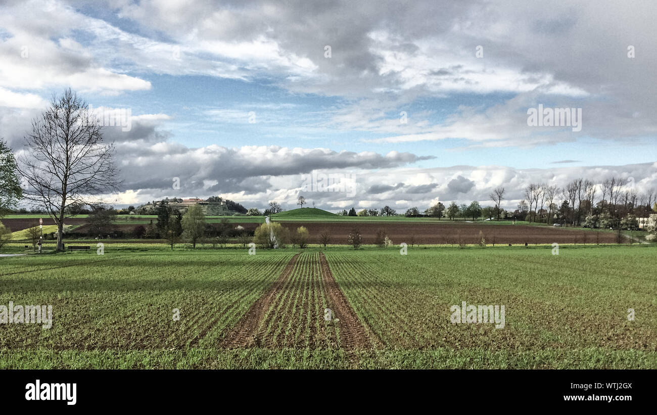 Farms in the sky hi-res stock photography and images - Alamy