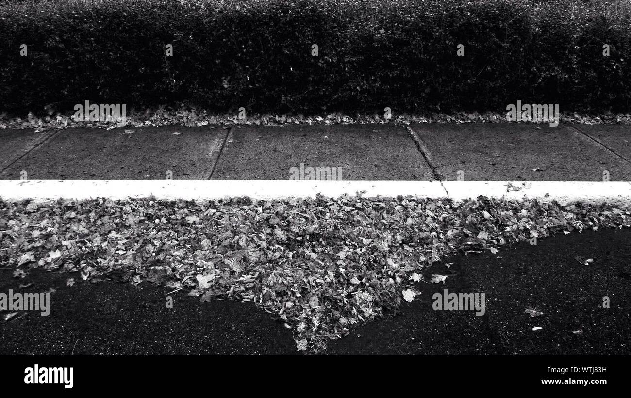 Ground pathway hi-res stock photography and images - Alamy