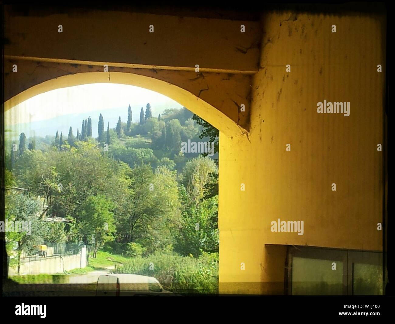 Arched trees hi-res stock photography and images - Alamy